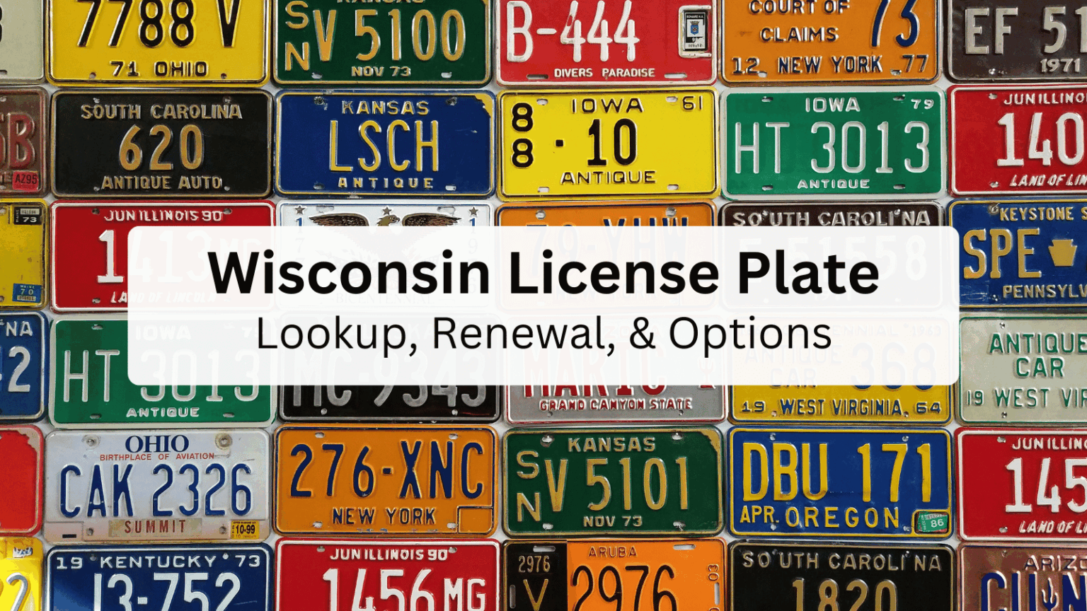 Wisconsin License Plate: Lookup, Renewal, & Options